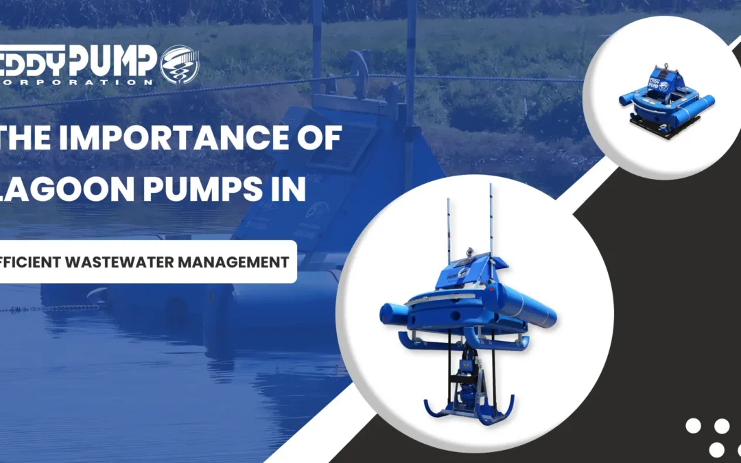 Blogs, News, and Products - EDDY Pump