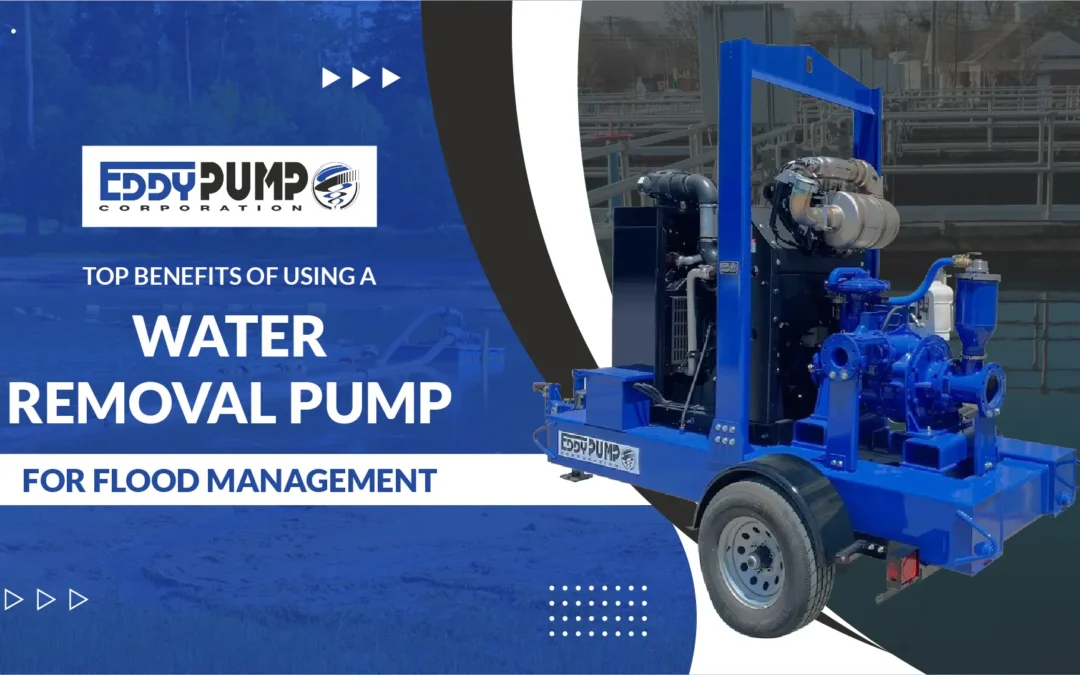 Blogs, News, and Products - EDDY Pump